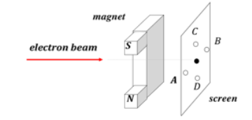 Solved The magnetic field has been used to deflect the | Chegg.com