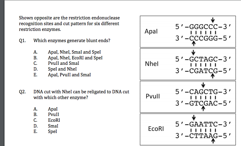 Solved Shown Opposite Are The Restriction Endonuclease