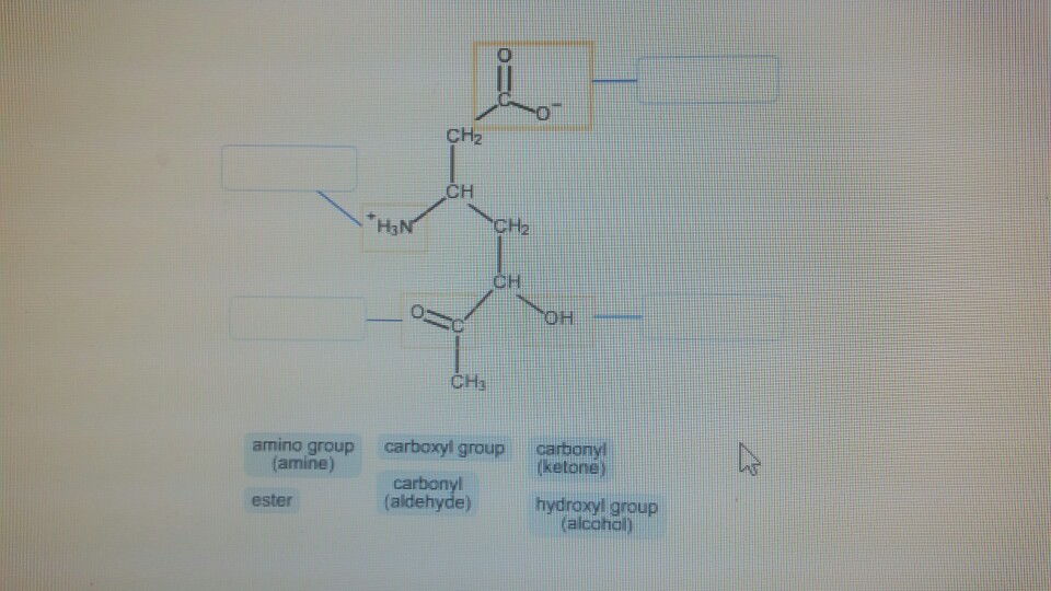 33 Label The Highlighted Functional Groups In This Molecule - Label ... 33 Label The Highlighted Functional Groups In This Molecule - Label ...