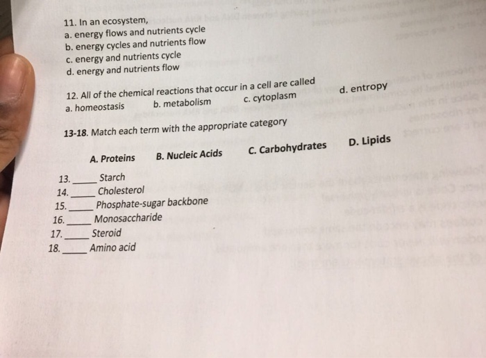 Solved In an ecosystem, energy flows and nutrients cycle | Chegg.com