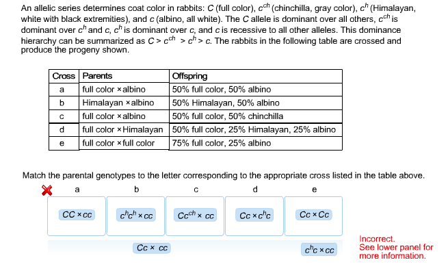 Solved An allelic series determines coat color in rabbits: C | Chegg.com