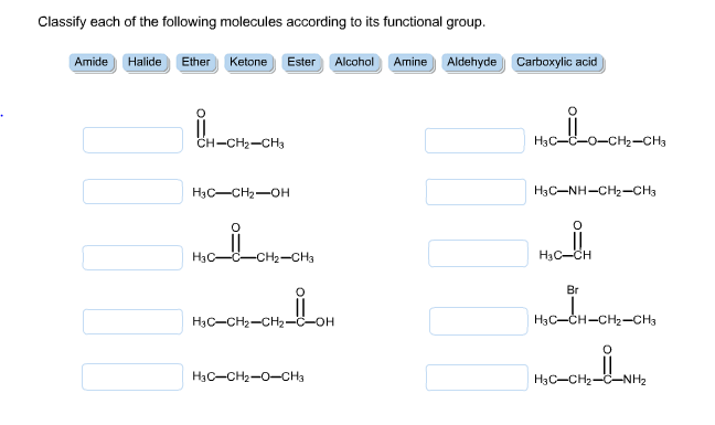 Solved Classify each of the following molecules according to | Chegg.com