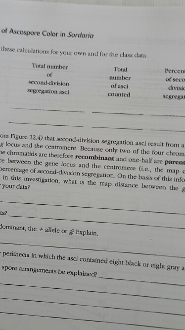 of Ascospore Color in Sordaria these calculations for | Chegg.com