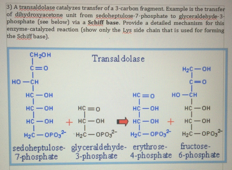 Solved A transaldolase catalyzes transfer of a 3-carbon | Chegg.com