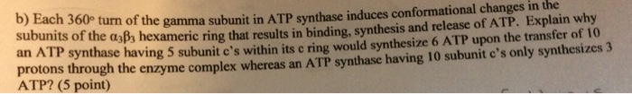 Solved Each 360degree turn of the gamma subunit in ATP | Chegg.com