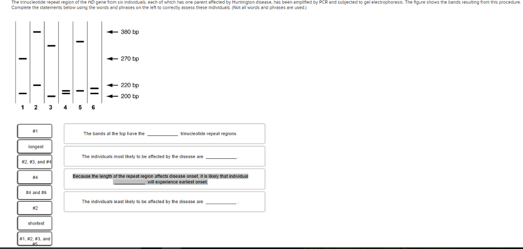 Solved The trinucleotide repeat region of the HD gene from | Chegg.com