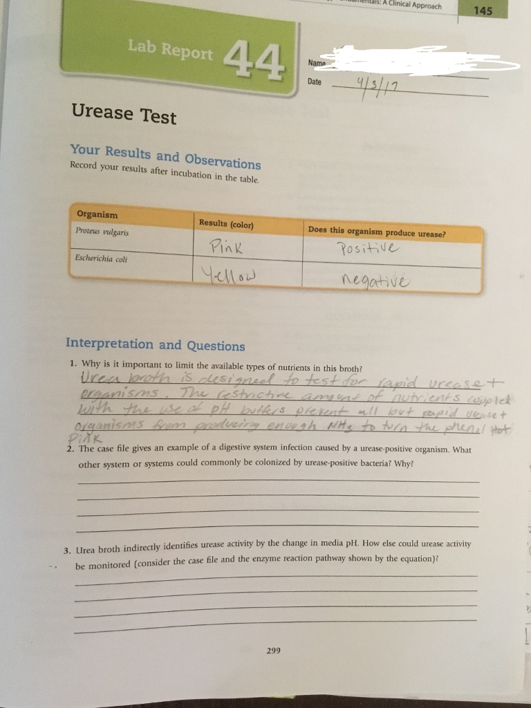 Solved Record your results after incubation in the table. | Chegg.com
