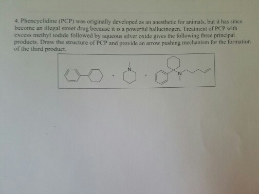 Solved Phencyclidine (PCP) was originally developed as an | Chegg.com