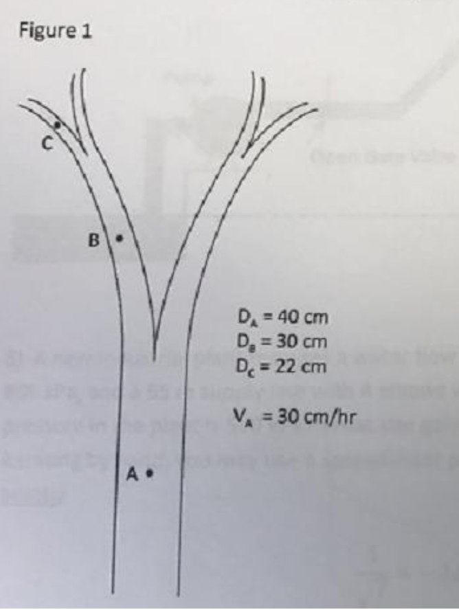 Solved Continuity: Trees transport water from the soil to | Chegg.com