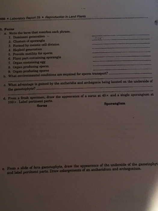 Solved Write the term that matches each phrase. (Help on 3a, | Chegg.com