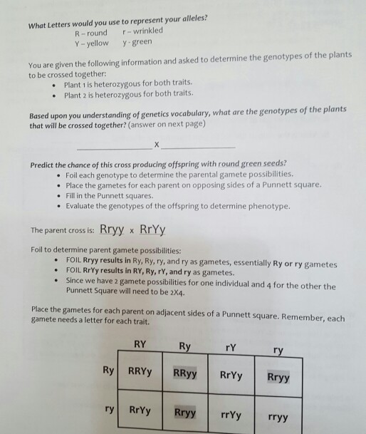 Solved The offspring in this cross would represent the F1 | Chegg.com