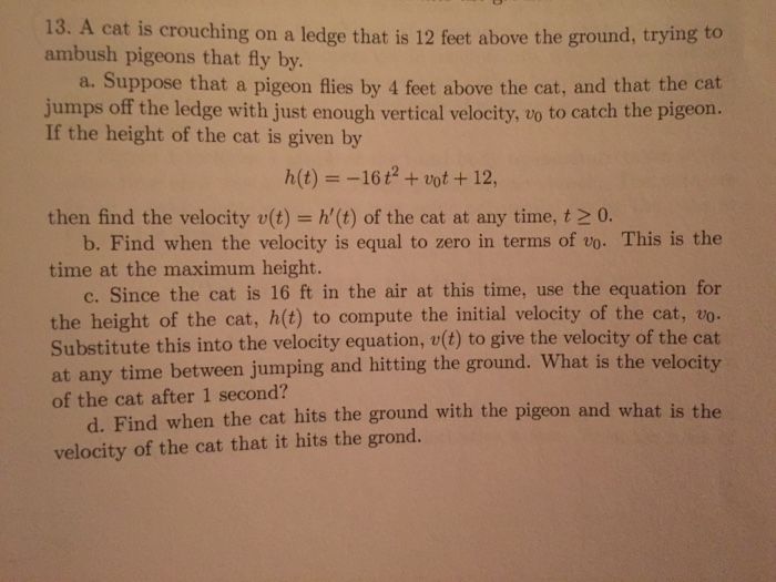 Solved A cat is crouching on a ledge that is 12 feet above | Chegg.com