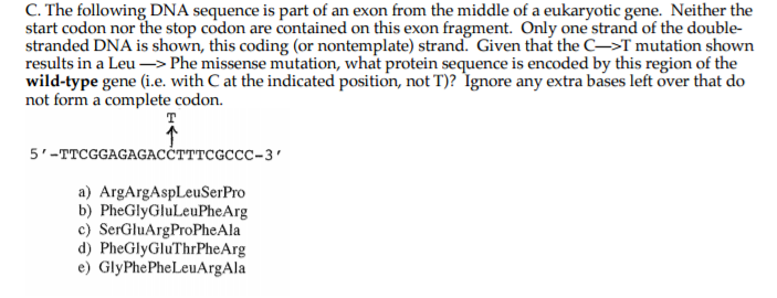 Solved The following DNA sequence is part of an exon from | Chegg.com