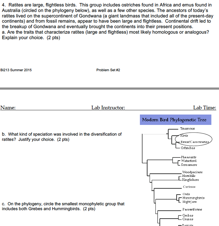 Solved Ratites are large, flightless birds. This group | Chegg.com
