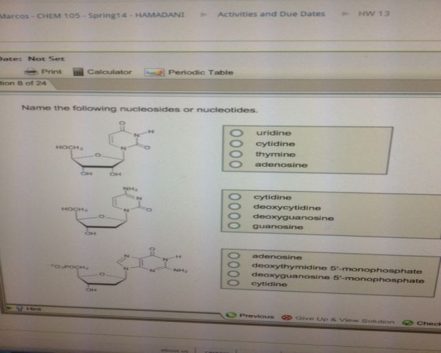 Solved Name the following nucleosides or nucleotides. | Chegg.com