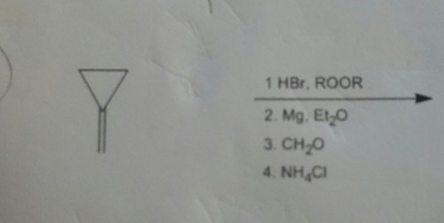 Solved 1 HBr, ROOR 2. Mg, Et2O 3. CH2O 4. NH4Cl | Chegg.com