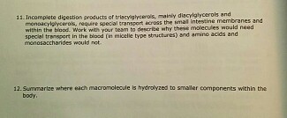 Solved 11. incomplete digestion products of triglycerides, | Chegg.com