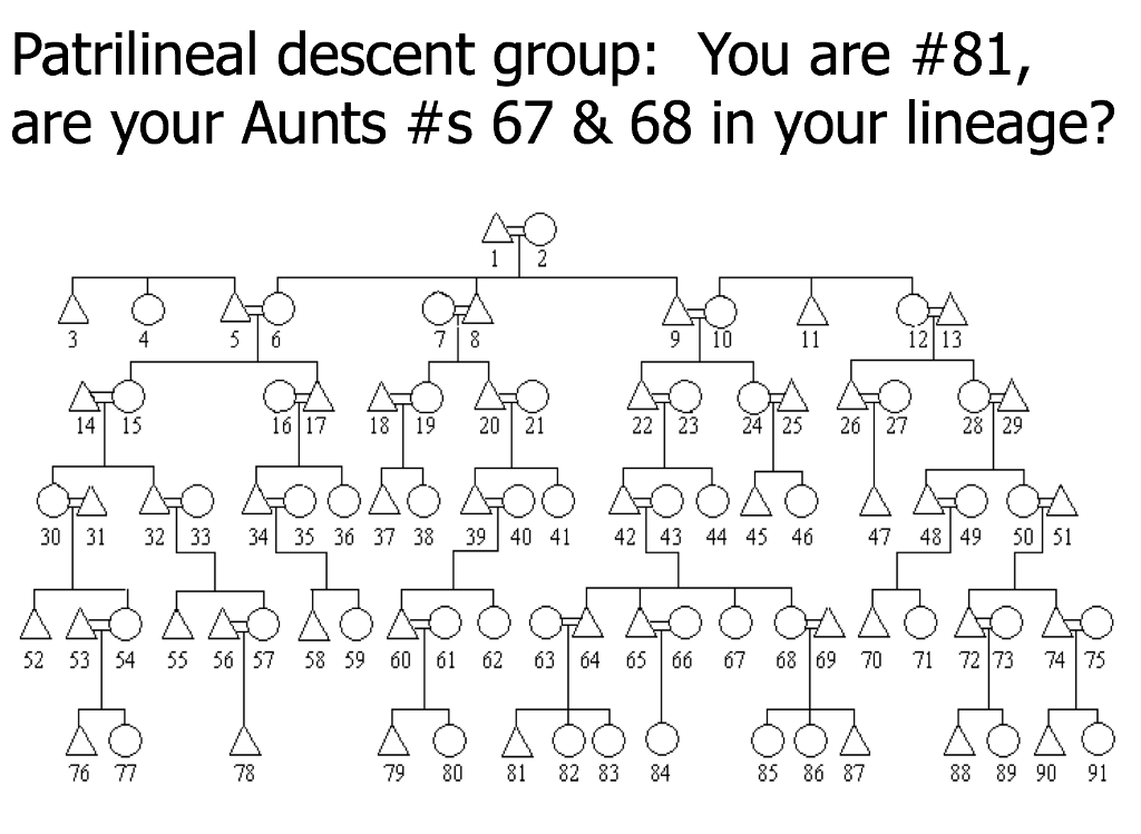 Solved Patrilineal descent group. You are #81, are your | Chegg.com
