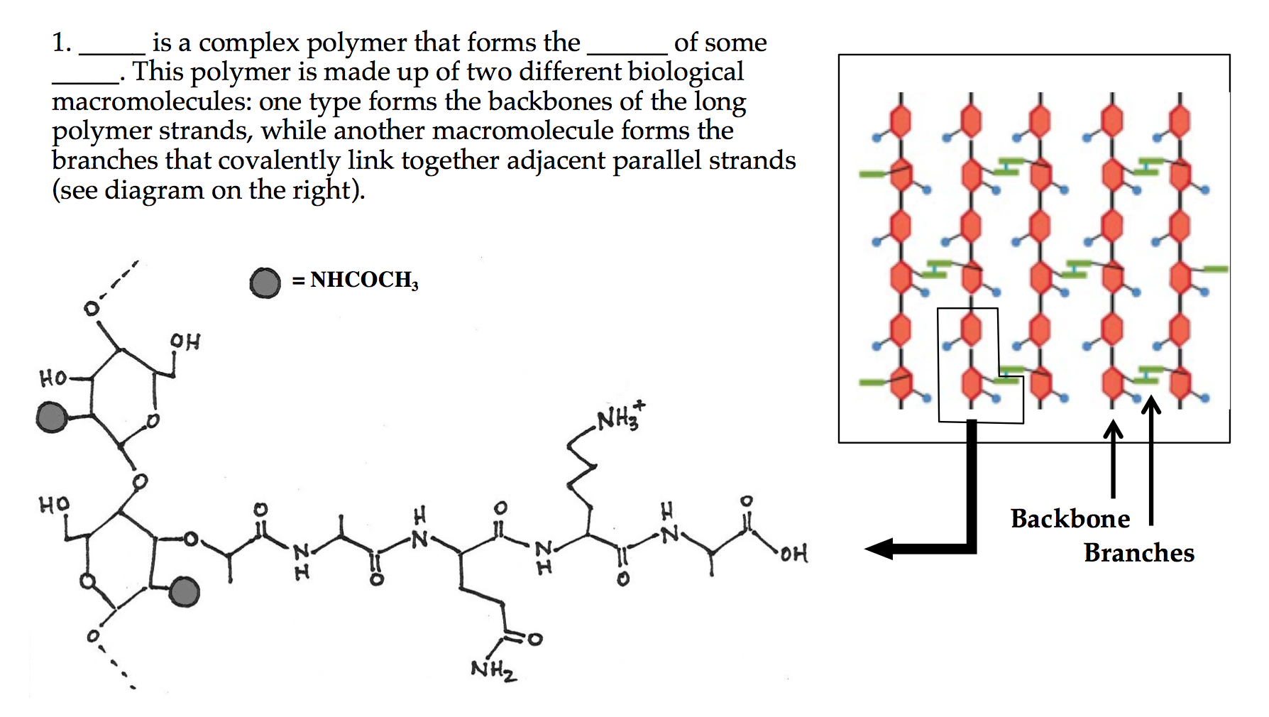 Biology Archive | October 15, 2015 | Chegg.com