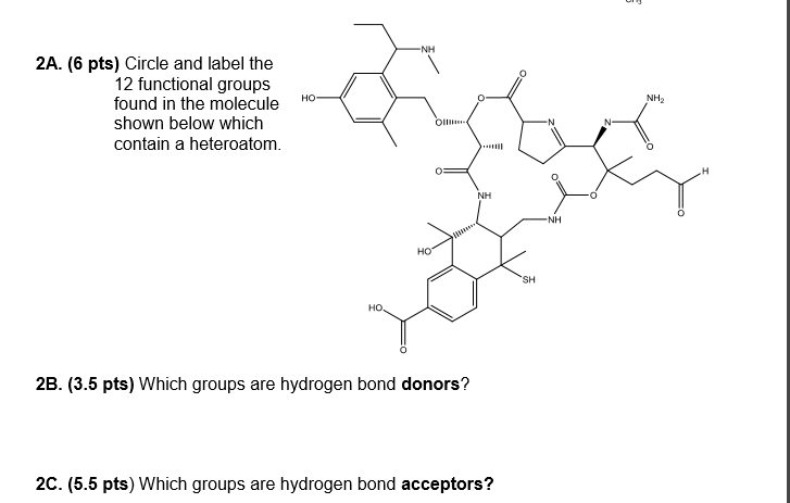 Solved NH 2A. (6 pts) Circle and label the 12 functional | Chegg.com