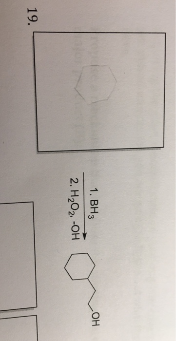 Solved 19. L 1. BH 2. H2O2, -OH OH | Chegg.com