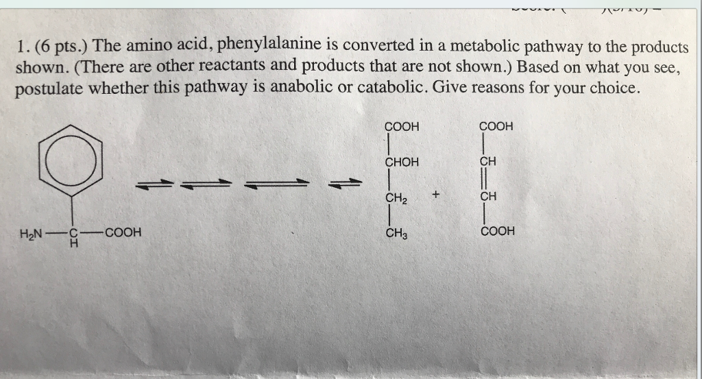 Solved 7\TIV 1. (6 pts.) The amino acid, phenylalanine is | Chegg.com