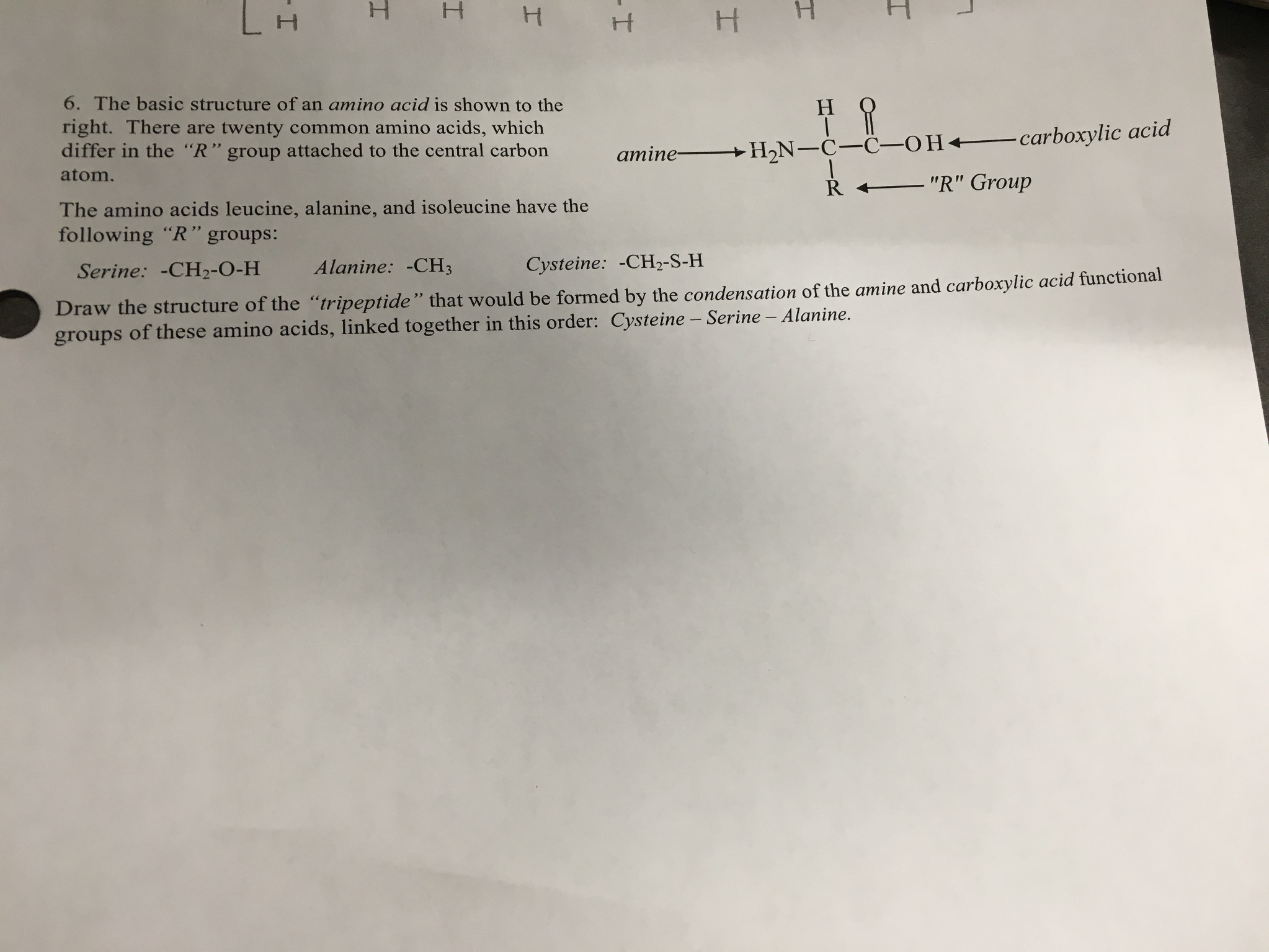Leucine Structure R Group