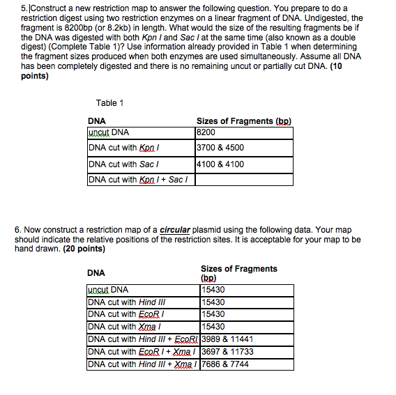 Solved Construct a new restriction map to answer the | Chegg.com