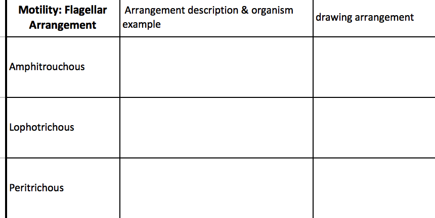 Solved Motility: Flagellar Arrangement description & | Chegg.com