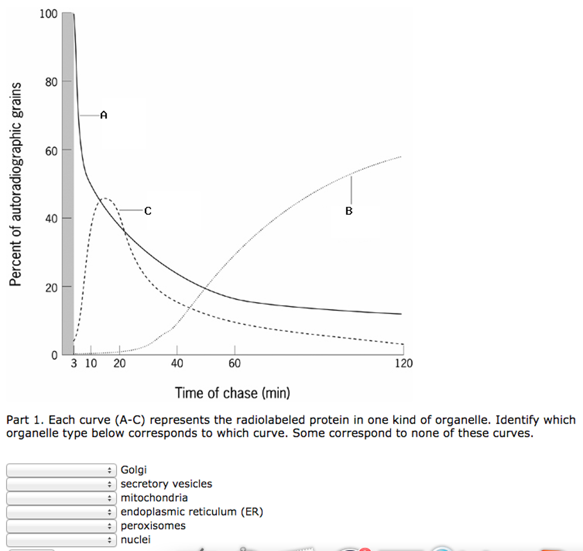 Solved Jamieson and Palade did a set of classic experiments | Chegg.com