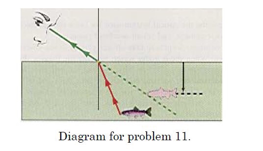 Solved A fish appears to be at a depth of 150 cm in water | Chegg.com