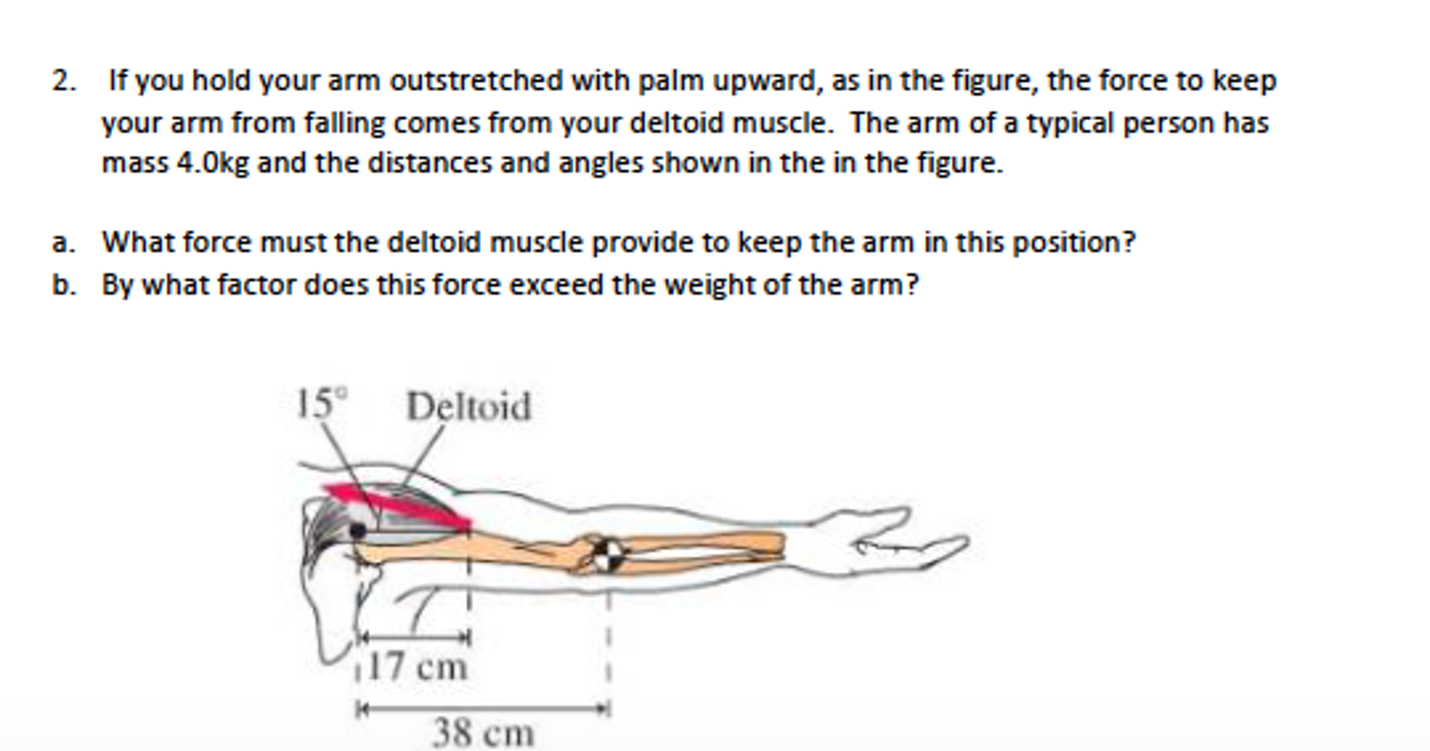 Solved If you hold your arm outstretched with palm upward, | Chegg.com