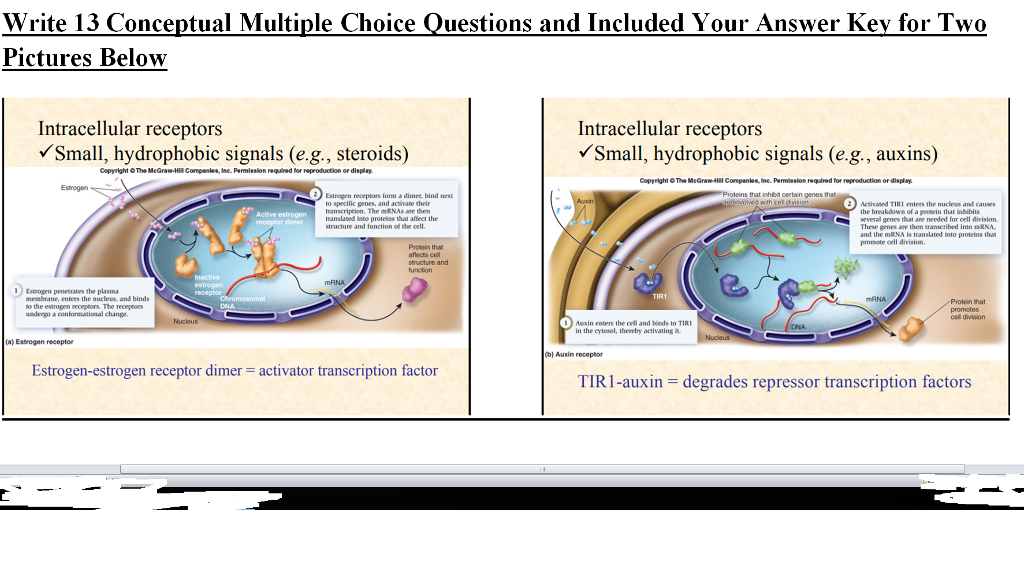 Note: Write 13 Conceptual Multiple Choice Questions | Chegg.com
