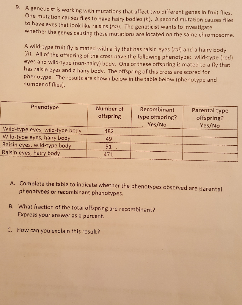 Solved A geneticist is working with mutations that affect | Chegg.com