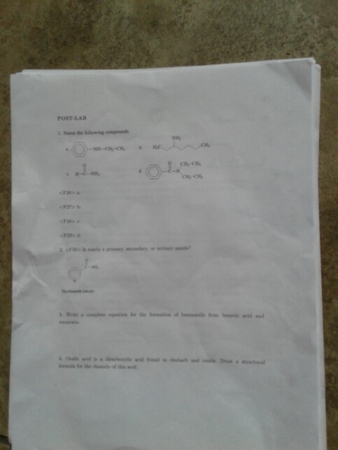 Solved POST LAB | Chegg.com