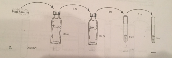 Solved Calculate the serial dilution: | Chegg.com
