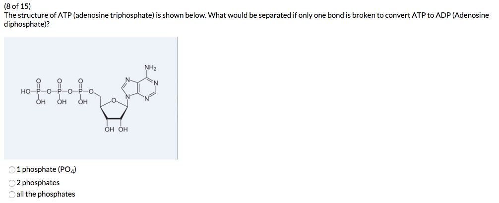Solved (7 of 15) What will happen next to the cell shown | Chegg.com