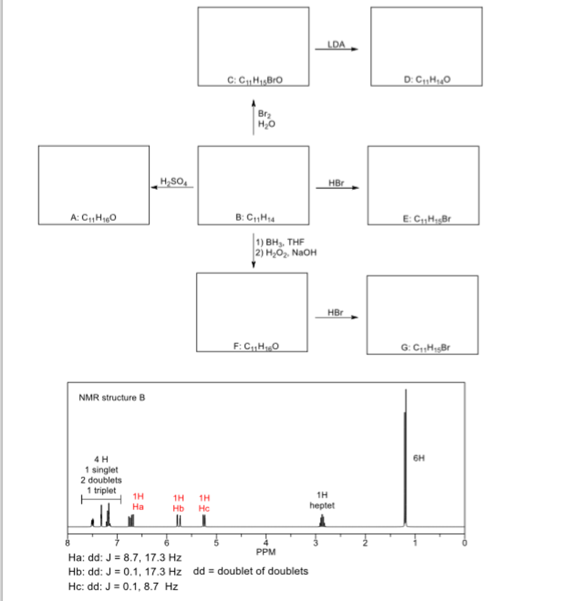 Solved LDA C: C11H1 BrO Br2 H SO HBr B: C11H14 A: C11H16O 1) | Chegg.com