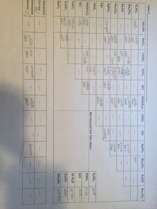 Solved (10 points) Based on your observations, generate a | Chegg.com