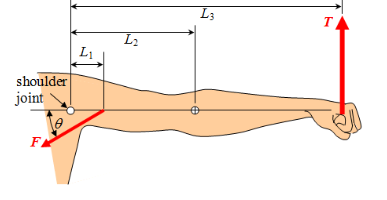 Solved The horizontal arm shown has a length L3 = 0.50m | Chegg.com