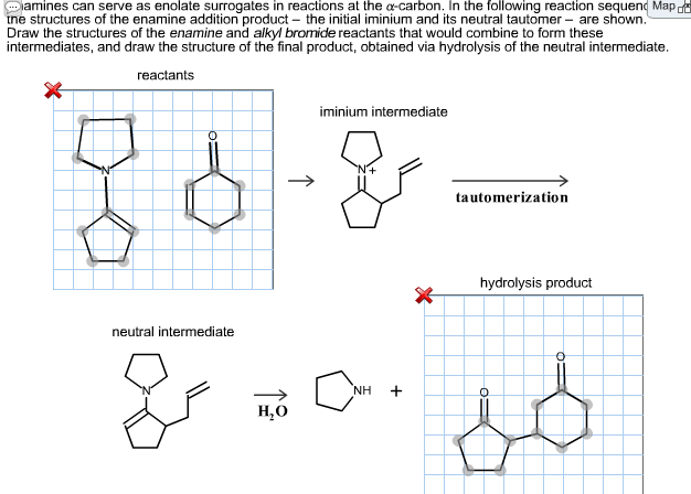 Solved amines can serve as enolate surrogates in reactions | Chegg.com