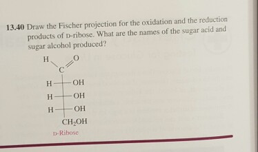 Solved Draw the Fischer projection for the oxidation and the | Chegg.com