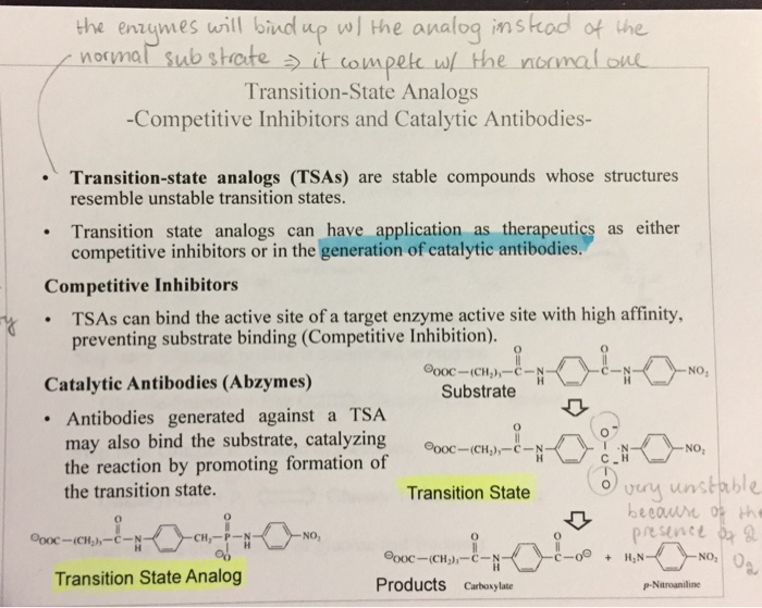 Solved the enzywies wl bindl up ul the analog ins kod of the | Chegg.com