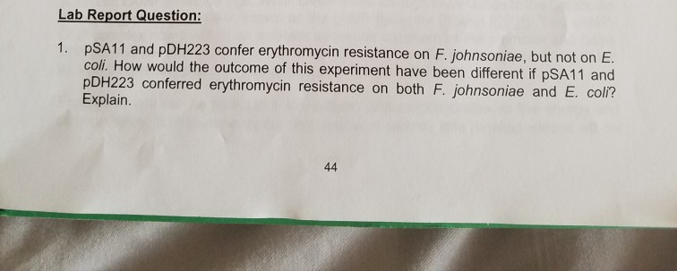 Solved Lab Report Question: pSA11 and pDH223 confer | Chegg.com