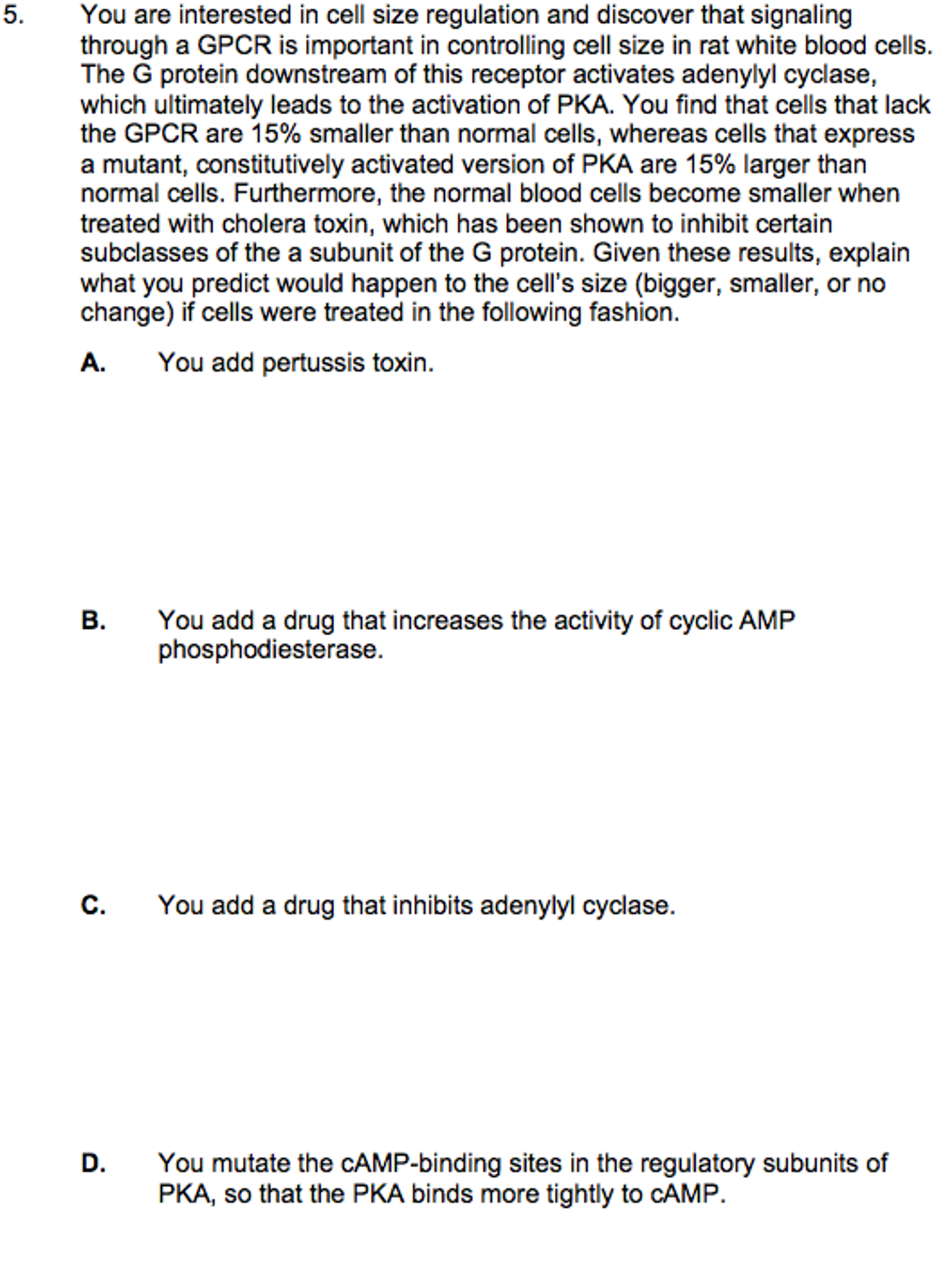 Solved You are interested in cell size regulation and | Chegg.com
