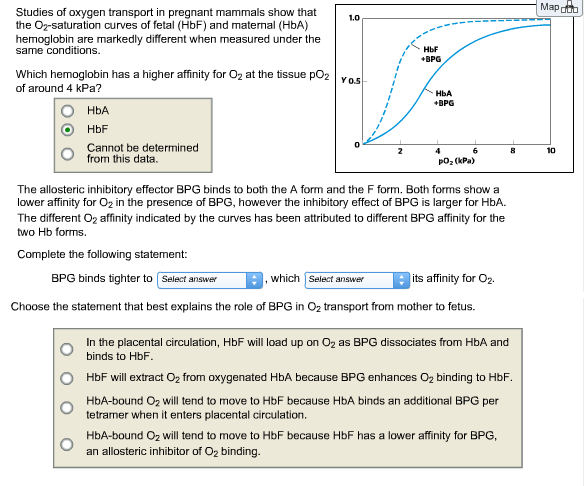 Solved Map duo Studies of oxygen transport in pregnant | Chegg.com