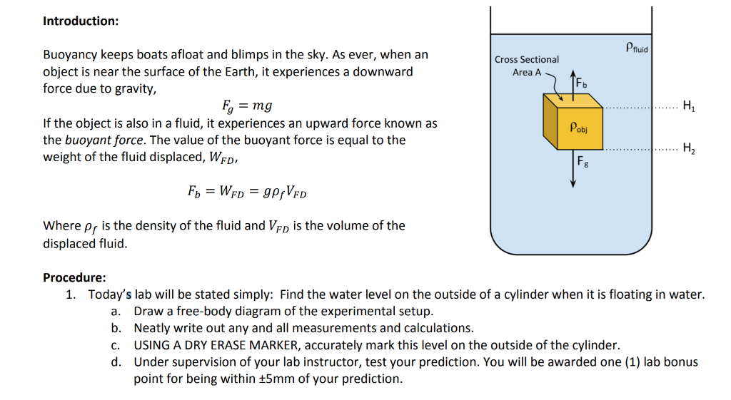 Solved Introduction: fluid Buoyancy keeps boats afloat and | Chegg.com
