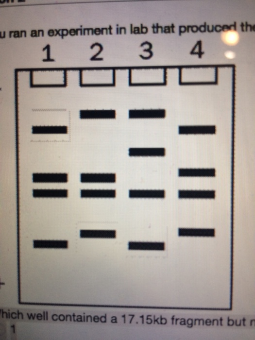 Solved You ran an experiment in lab that produced the | Chegg.com