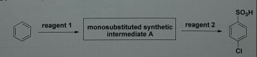 Solved synthesis of disubstituted benzenes involves two | Chegg.com