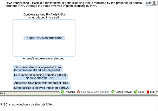 Solved RNA interference (RNAi) is a mechanism of gene | Chegg.com